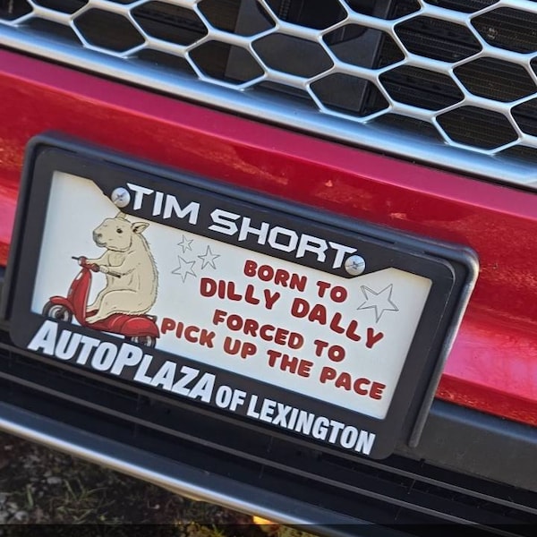 Stained Glass Ocean License Plate Frame, Beach Vanity Tag Holder ...