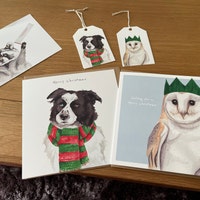 Napping Red Panda Birthday Card - Etsy