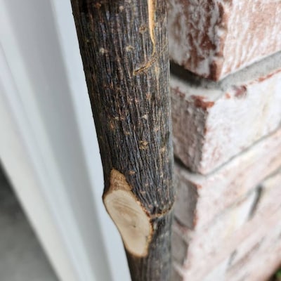 SVG DWG Dxf Cut File Fence Topper Gate Panel Birds in Bush Us Veteran ...