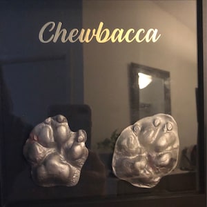 Pet Casting Paw Cast Paw Print DIY Casting Kit Keepsake for Dog Life ...