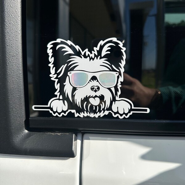 Danzig crystar Band Logo Vinyl Decal - Etsy