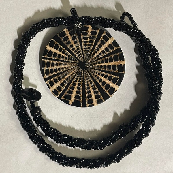 Large Strombus Seashell Pendant Sunburst of Center Cut Shells in Black ...