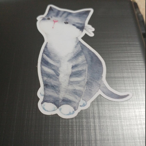 Cat Sticker, Vinyl Sticker, Laptop Decal, Die Cut Sticker, Waterproof ...