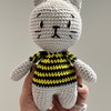 Worry Doll Amigurumi Pattern Crochet Pattern Amigurumi Doll Pattern ...