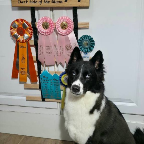 Custom Ribbon Display, Dog Award Ribbon Display Rack, Dog Rosette ...