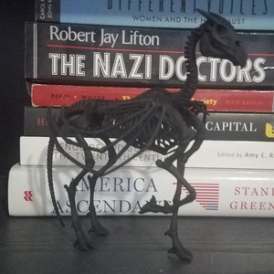 Dead Imp Skeleton 3D Print Taxidermy Sculpture | Etsy