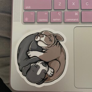 Labeled Digestive System Diagram Sticker Hand-drawn - Etsy