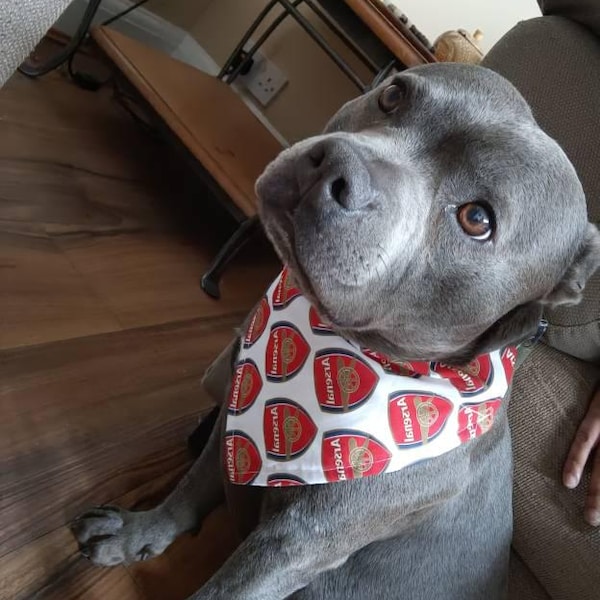Arsenal Dog Bandana Football AFC Gunners Slide Collar Neckerchief - Etsy