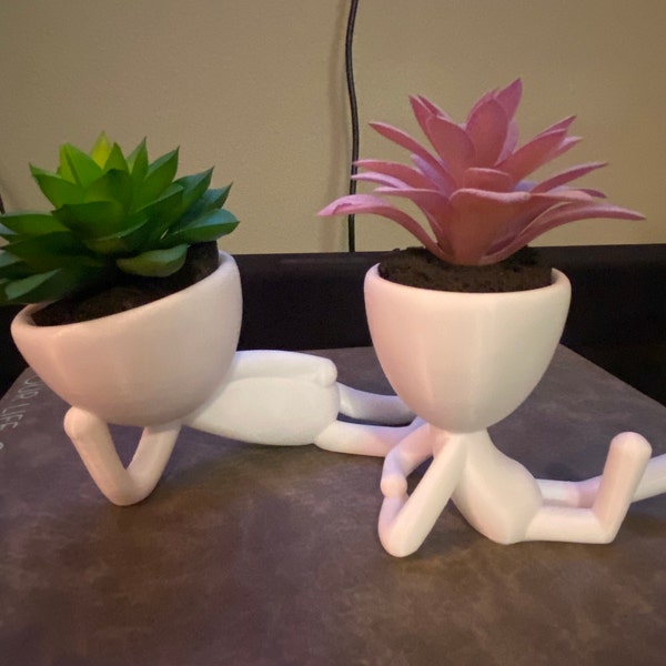 3D Printed 'lazy Day' Bundle Robert Planter Style Planters - Etsy