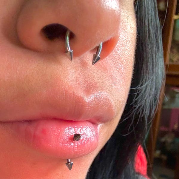 14g SEPTUM Ring, Septum Horseshoe, Septum Ring 14g, Circular Barbell ...