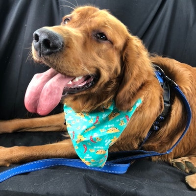 Faux Fur Tug Toy Dog Tug Sport Tug Dog Agility Tug Sport Dog Tug Faux ...