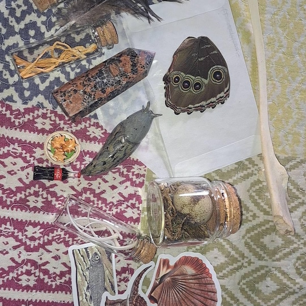 MJB Starter Insect Pinning Kit | Curated Kit for Beginners With ...