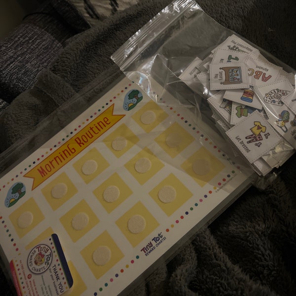 Daily Visual Schedule (120 Routine and Activity Cards), Includes Charts ...