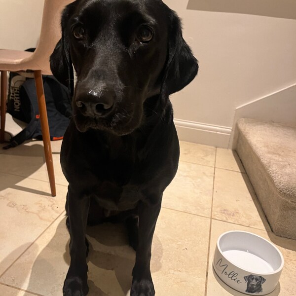 Cockapoo, Birthday Card, Cockapoo Card, Dog Lover Gift, Cockapoo Mum ...