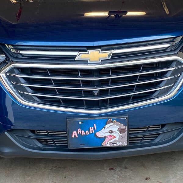 Funny Possum License Plate • Screaming Possum License Plate • Possum ...
