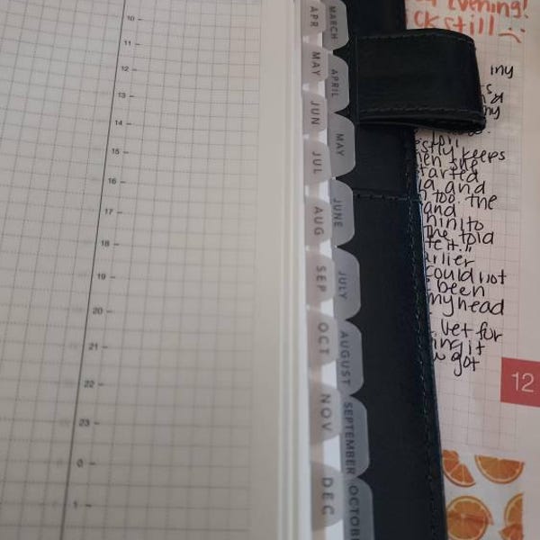 A6 Plastic Mini Index Tabs - Abbreviated Months - Etsy