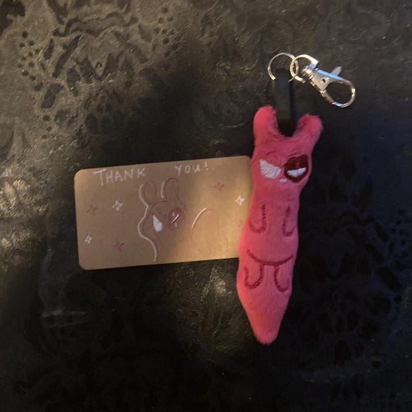 Rain World Slugcats Plush Clips - Etsy