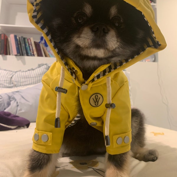 Dog Flight Jacket | Red - Etsy