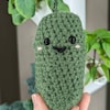 PATTERN ONLY, Easy Pickle Crochet Pattern, Instant DOWNLOAD - Etsy