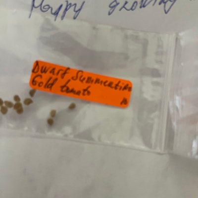 Amber Baron, Tomato Seeds From Kazakhstan Variety - Etsy