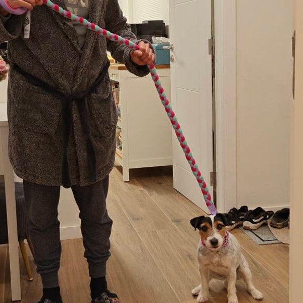 Braided Fleece Leash 3-in-1 – Perfect for Agility Starts - Etsy