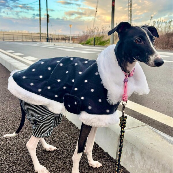 Unique and Complete Dog Size Guide Pdf File, 110 Illustrated Dog Breeds ...