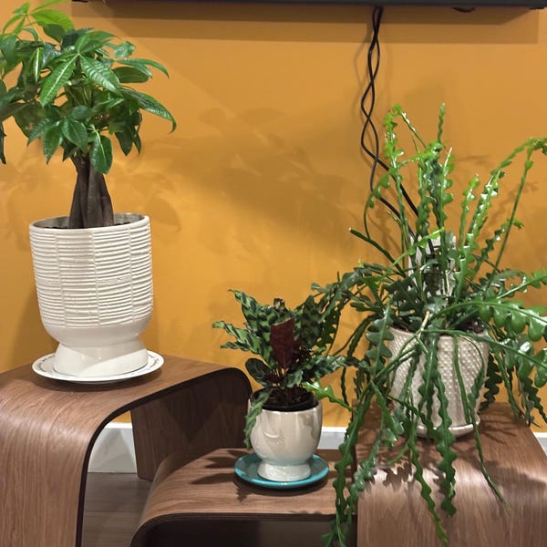 Tiered Floor Plant Stand, Unique Indoor Wood Flower Pot Display, Modern ...