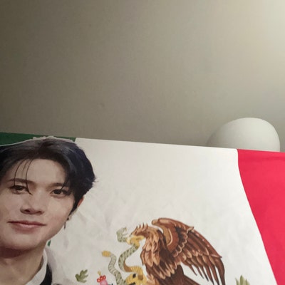 Loona Chuu Salute Flag Banner, Chuu American Flag Tapestry, Chuu Merch ...