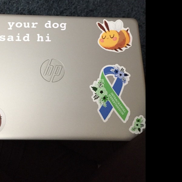 Intracranial Hypertension Sticker, IIH Awareness Stickers, Floral Green ...