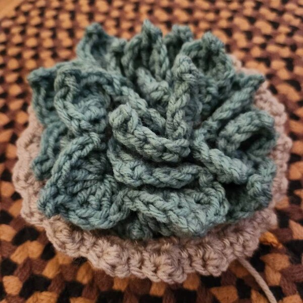 Crochet Succulent Coaster Pattern - Etsy