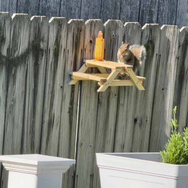 Squirrel Picnic Table Feeder Plans, Squirrel Table Plans, Pet Feeder ...