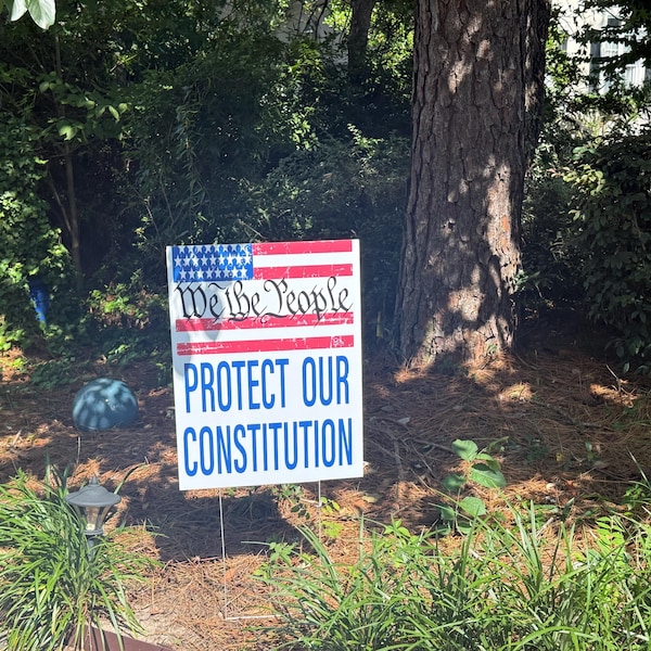 Protect Our Constitution, Printable Sign, No Oligarchs, Anti Fascist ...