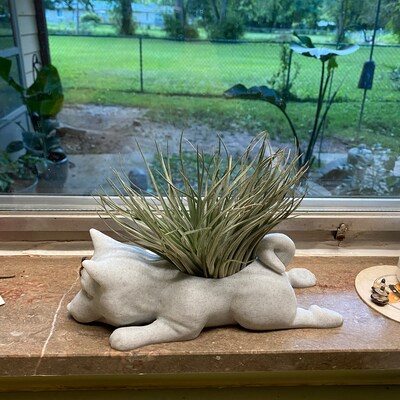 Shiba Inu Planter Shiba Inu Memorial Animal Pot Plants Hachiko Japanese ...