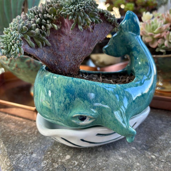 Ceramic Carrot-shaped Plant Pot - Etsy