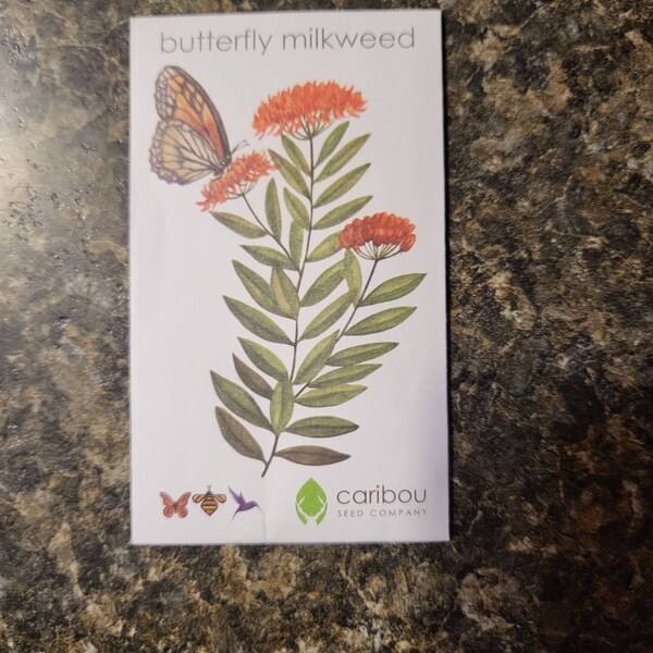 PERENNIAL | Hollyhock CHATER'S Double Triumph Mix | 20 Seeds | Althea ...