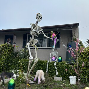 12 Ft Skeleton SWIM WEAR skeleton & Hats Not Included - Etsy