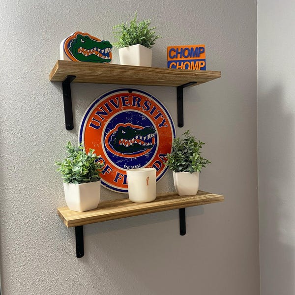 Florida Gators Tier Tray Decor - Table and Desk Art - Etsy