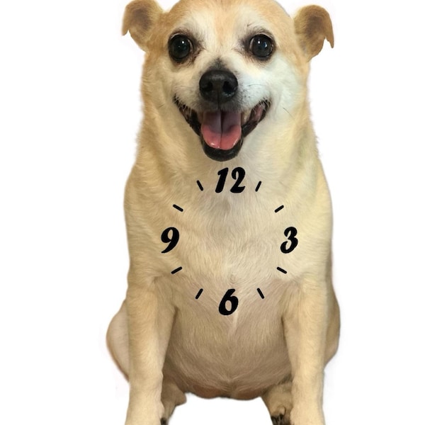 Whacky Chicken Wall Clock With Wagging Egg Pendulum - Etsy