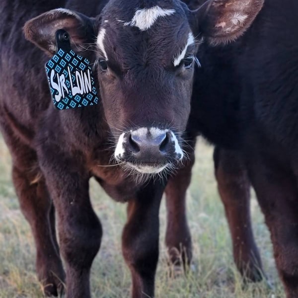 Custom Cattle Ear Tag - UV Printed Full Color Weatherproof ...
