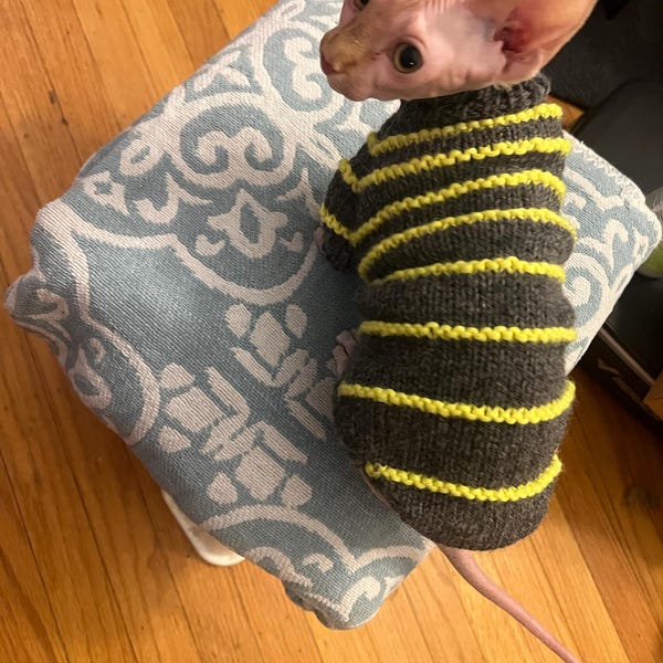 Cat Sweater and Hat Set Hand Knit Sphynx Cat Jumpsuit Cat Clothes ...