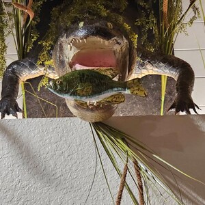 Ceramic Fish, Snapper - Etsy