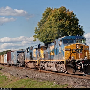 CSX Class 1 Railroad Family Tree and History Wall Hanging Picture - Etsy