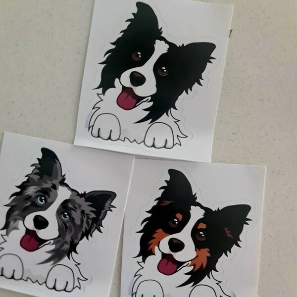 Border Collie Sticker for Border Collie Lover Water Bottle Decal for ...