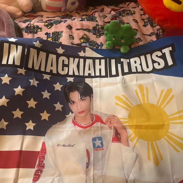 Skz Hyunjin Dolphin Meme Concert Banner, Stray Kids Kpop Flag, Skz ...
