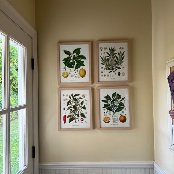 Vintage Bird and Botanical Collage Print Set No. 12, Botanical Art ...