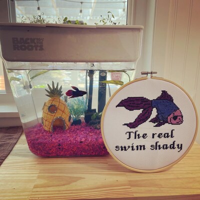 Absolutely Ribbiting Cross Stitch Pattern - Etsy