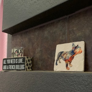 The Vortex the Vortex Coaster Atlanta Coasters Skull L5P | Etsy