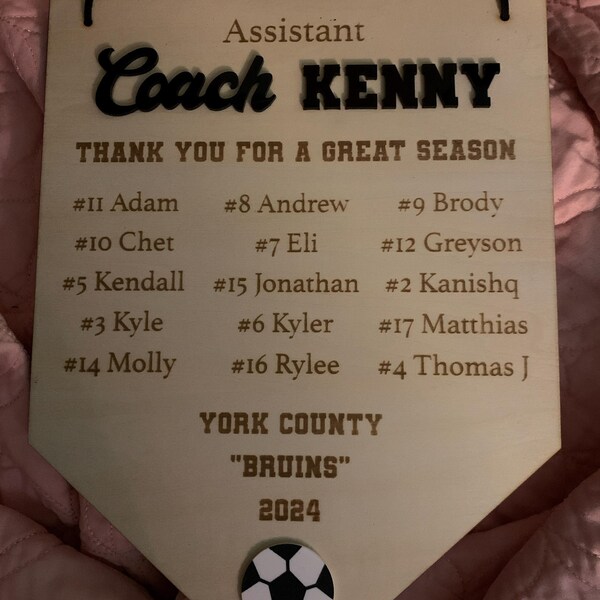 Cat Zone Sign - Pet Sign - Cat Lover Sign - Pet Decor - Cat Lover - Pet ...