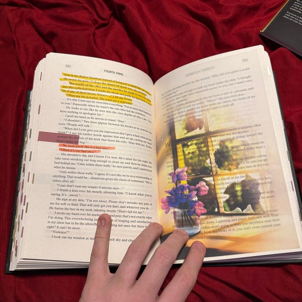 Fourth Wing, Iron Flame & Onyx Storm Annotated Books | Romantasy | Empyrean Series | Booktok ...
