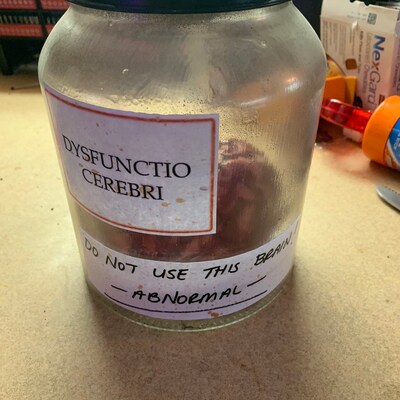 Fake Intestines Zombie Food Walking Dead Undead Food Horror Prop - Etsy